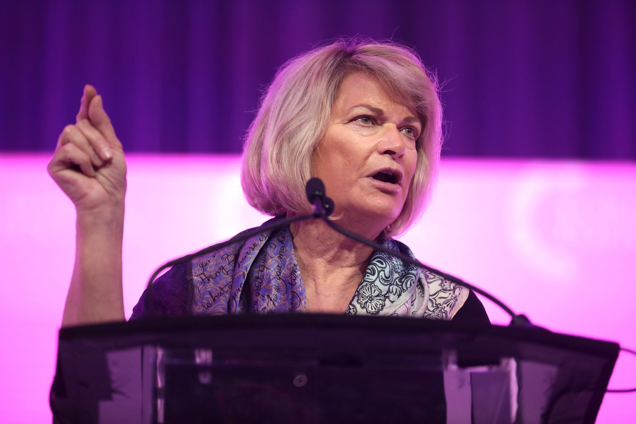 Lyn Alden Analyzes Current Bitcoin Cycle And Market Forces Lyn Alden Analyzes Current Bitcoin Cycle And Market Forces